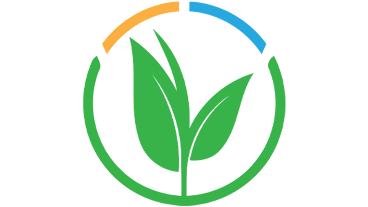 Where to Buy Kratom in Chicago (5 Best Stores) - The Kratom Connection